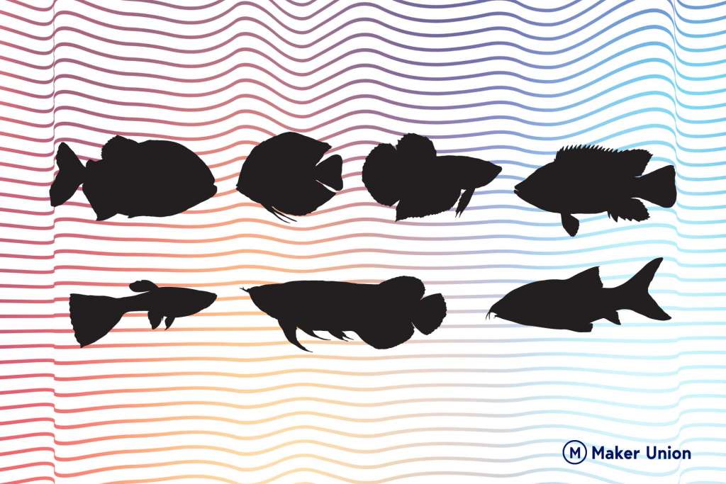 Nautical Discovery | Free DXF Files | Maker Union